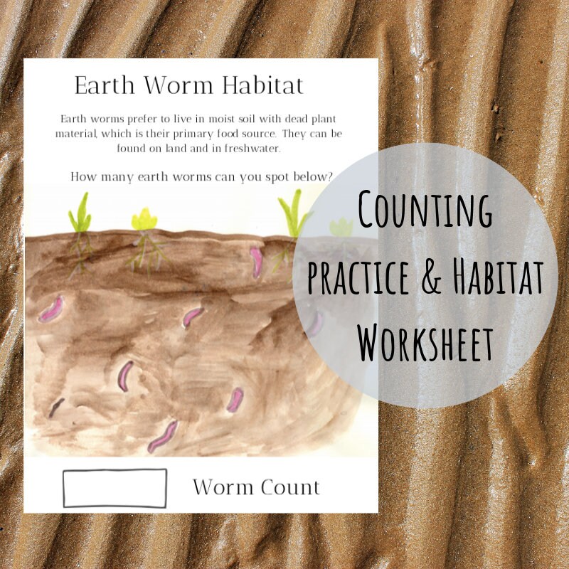 Worm Workbook | Worm Anatomy & Habitat - Etsy