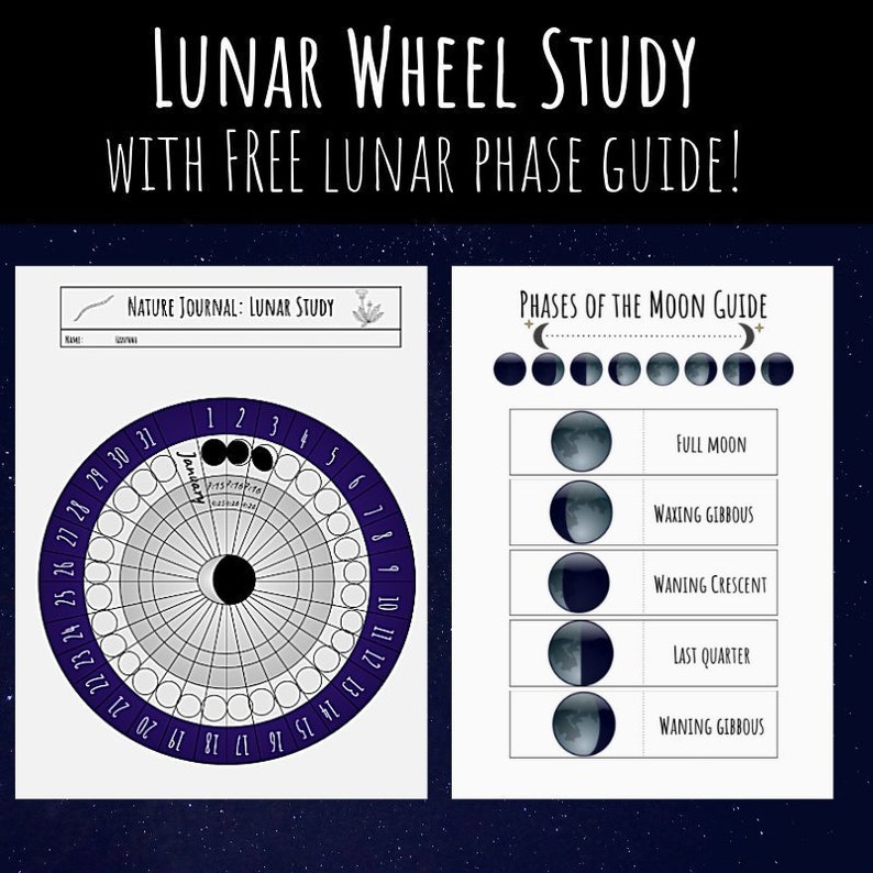 Lunar Phenology Wheel and Free Moon Phase Guide | Insert for Bullet or ...