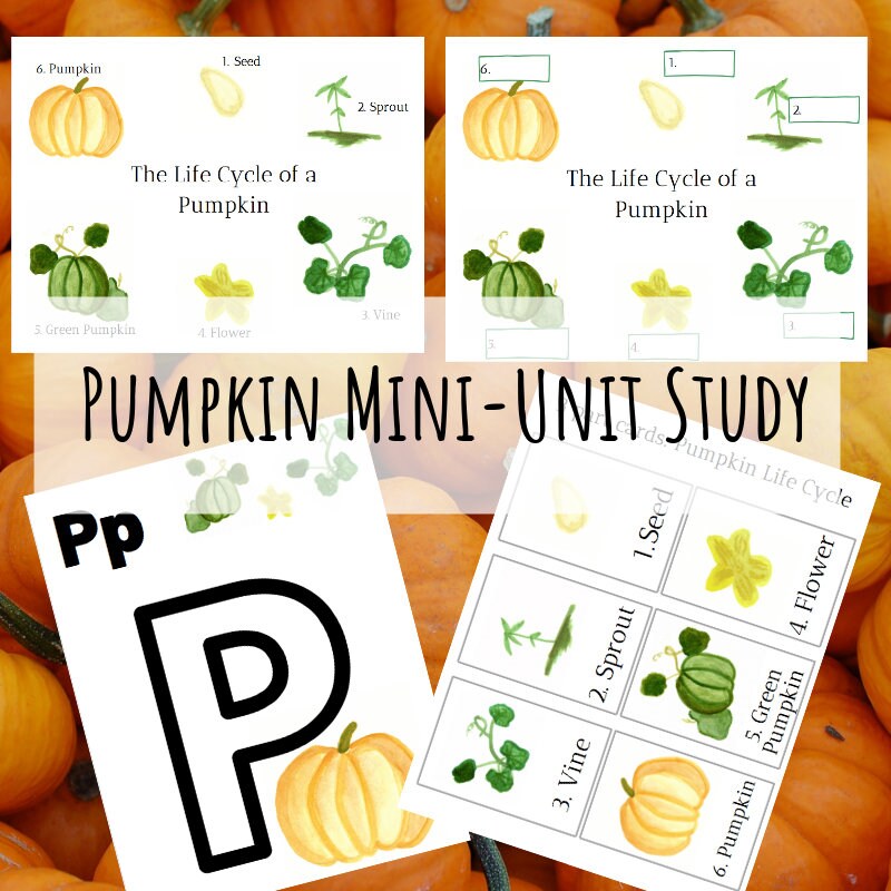 Pumpkin Mini-unit Study - Etsy