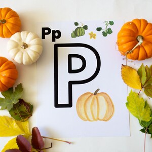 Pumpkin Mini-unit Study - Etsy