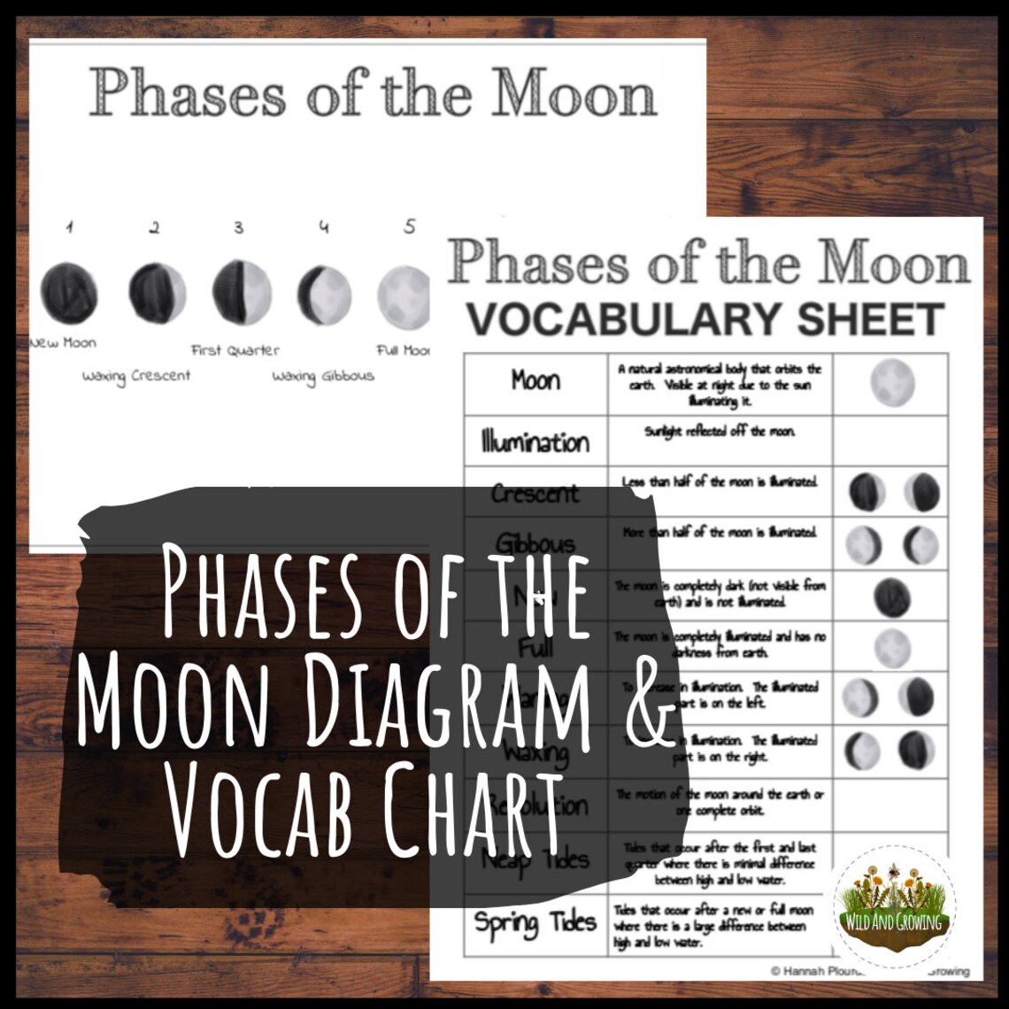 Phases of the Moon Study | Homeschool | Distance Learning | Montessori ...