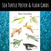 Sea Turtle Poster & Flash Cards | Instant Download - Etsy