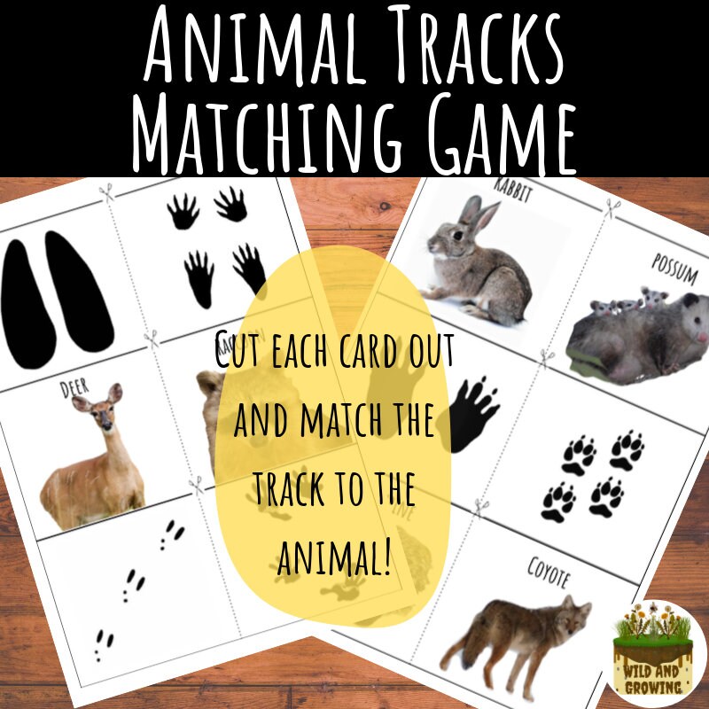Animal Tracks Matching Game - Etsy