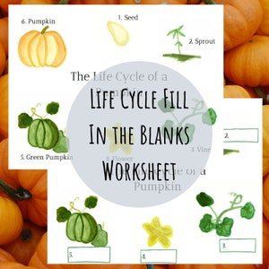 Pumpkin Mini-unit Study - Etsy