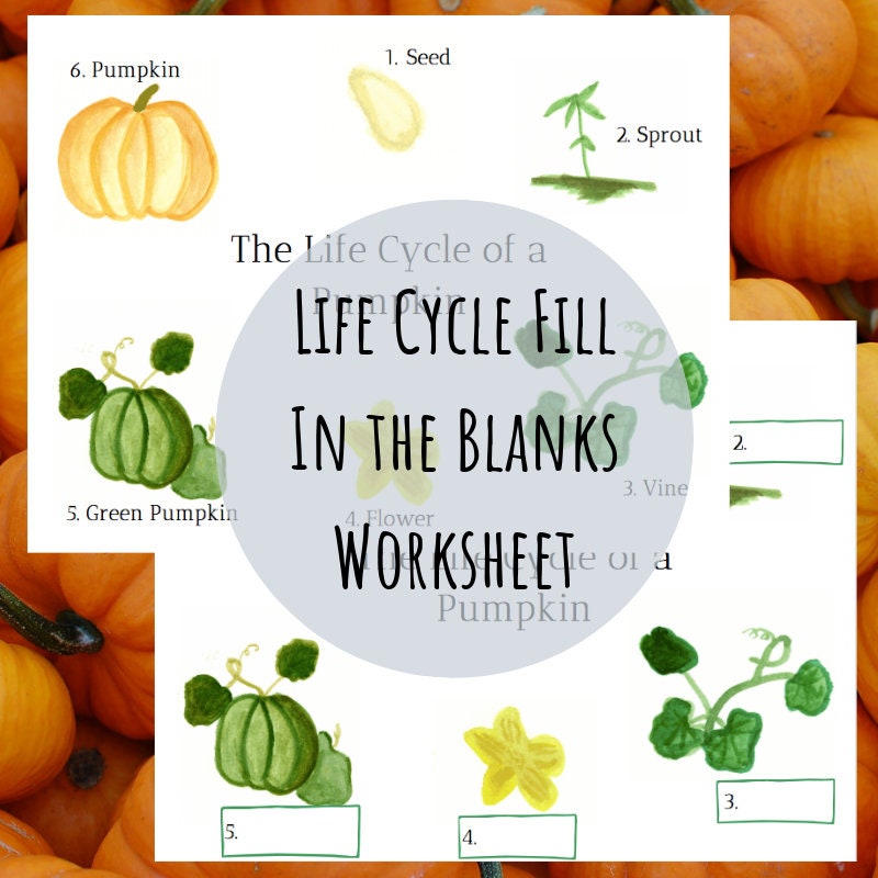 Pumpkin Mini-unit Study - Etsy