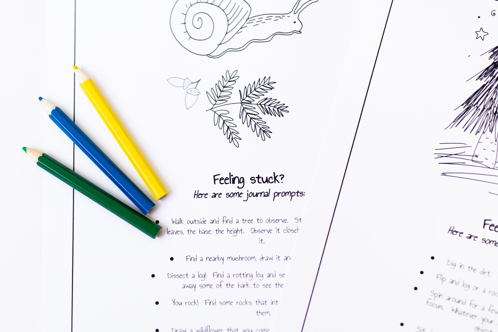 Month Long Nature Journal Guided Prompts and Activities Included ...