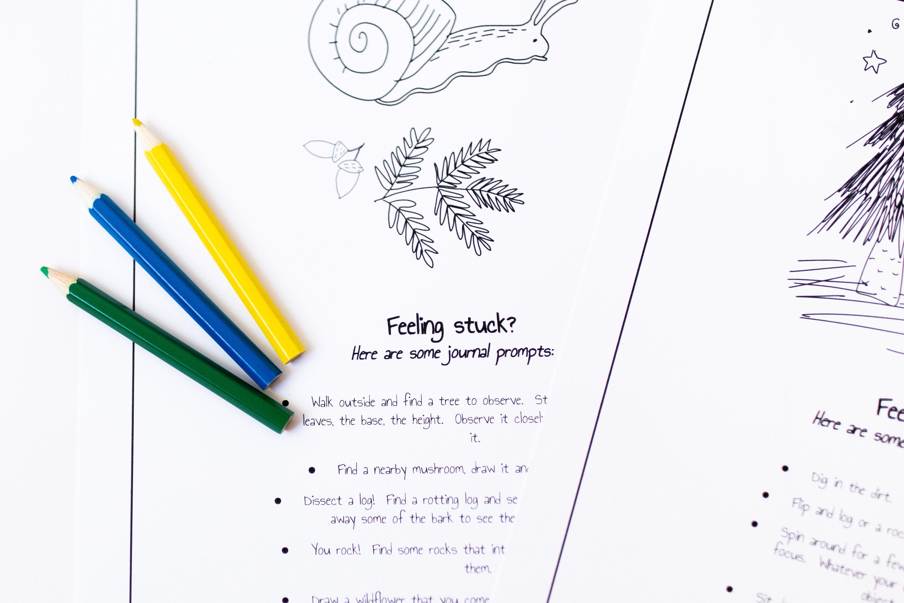 Month Long Nature Journal Guided Prompts and Activities Included ...