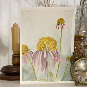 Cone Flowers Original Watercolor Painting - Etsy