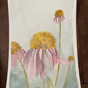 Cone Flowers Original Watercolor Painting - Etsy