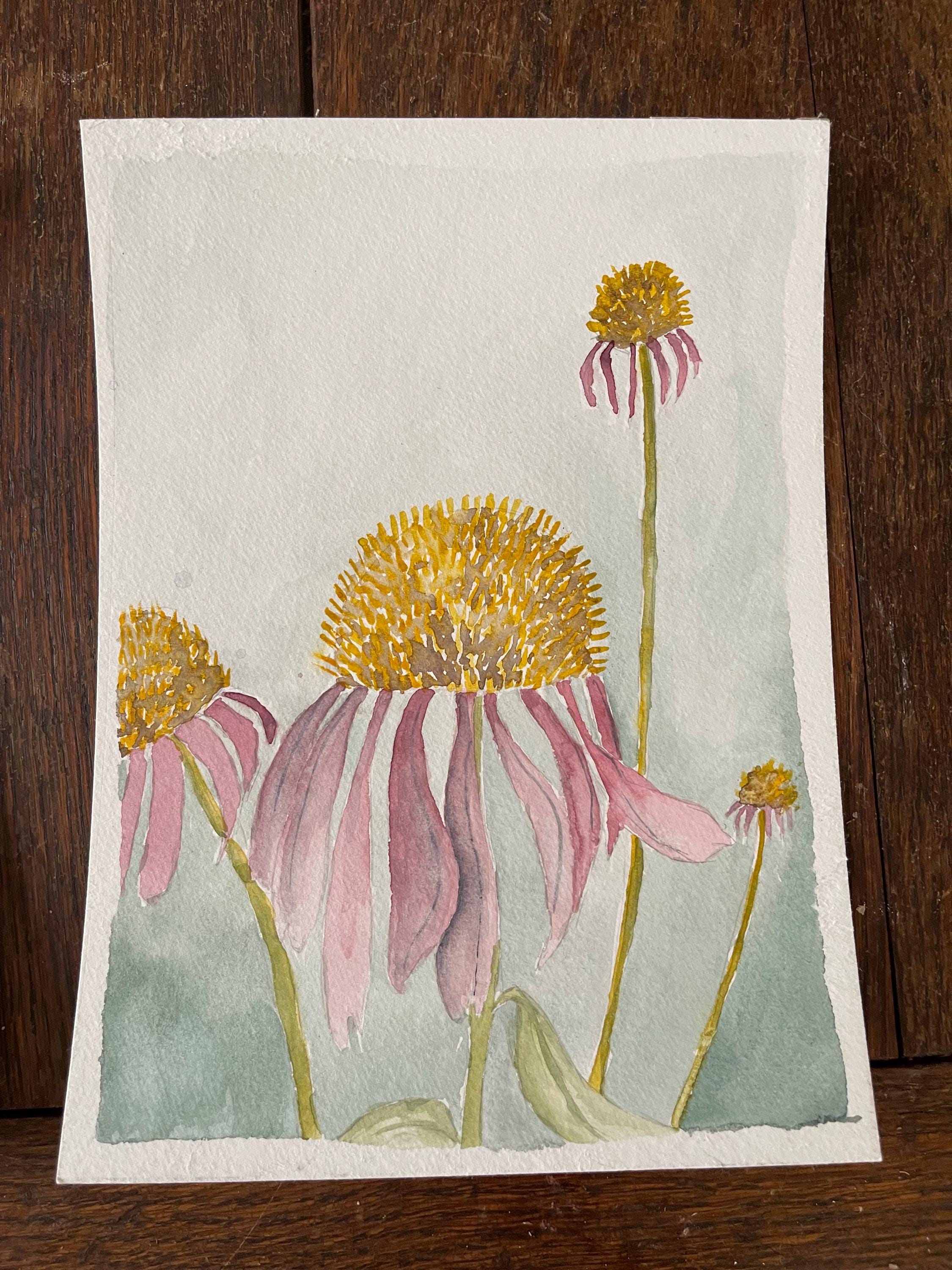 Cone Flowers Original Watercolor Painting - Etsy