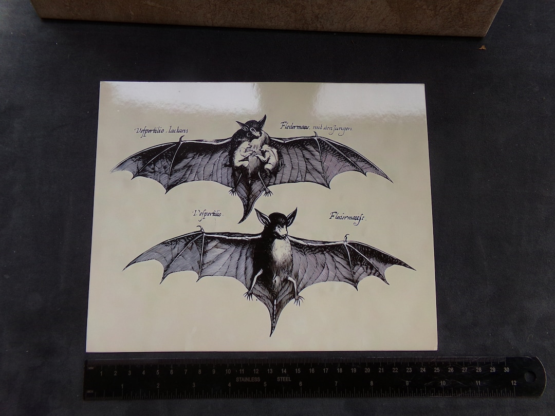 Bats Sketch Art Wall Hanging With a Handmade Mystery Item Crystal Witch ...
