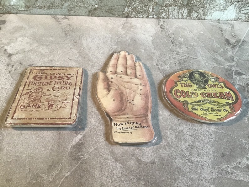 Victorian Era Looking Gypsy Palmistry and Owl's Cold | Etsy
