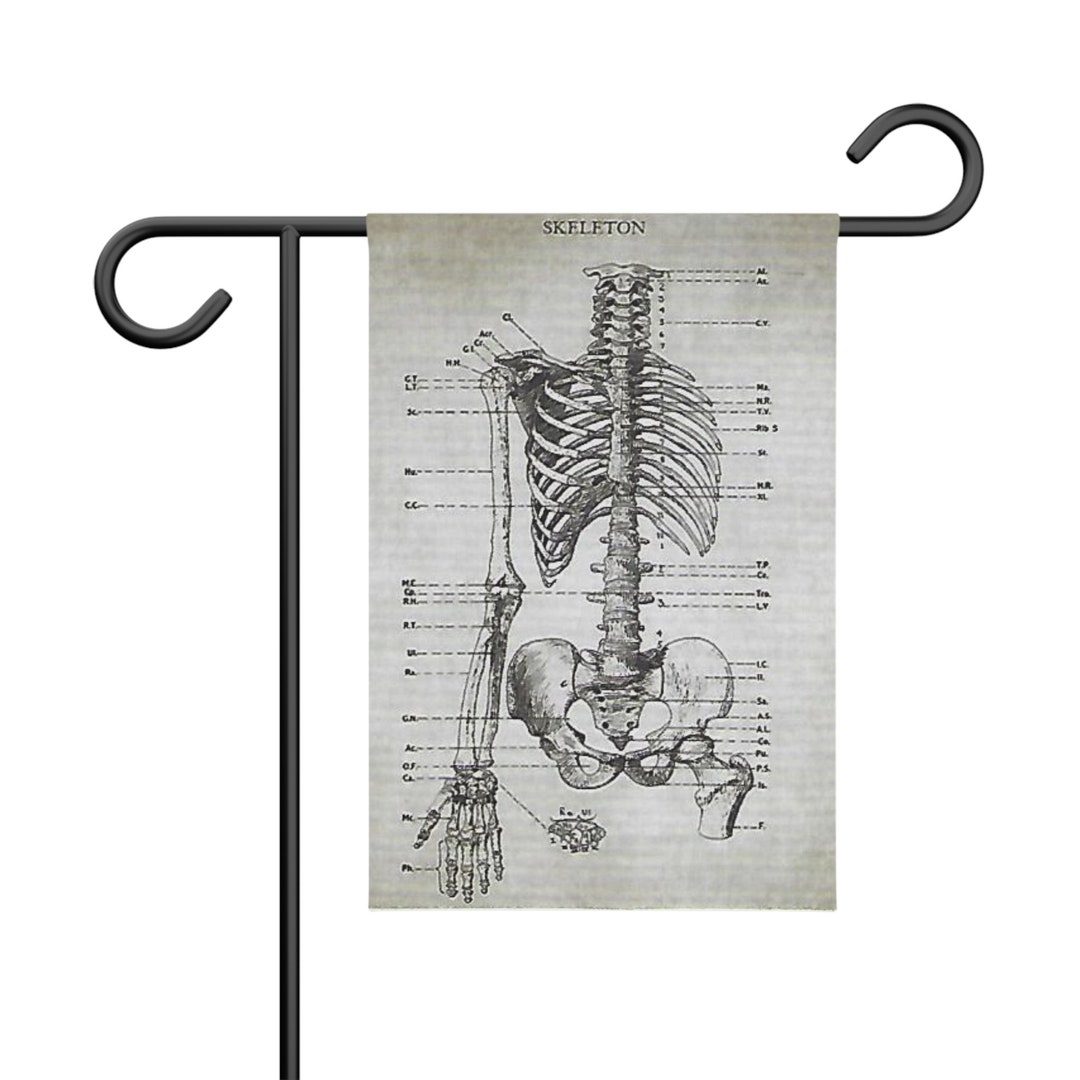 Vintage Human Skeletal Chart Garden Banner - Etsy