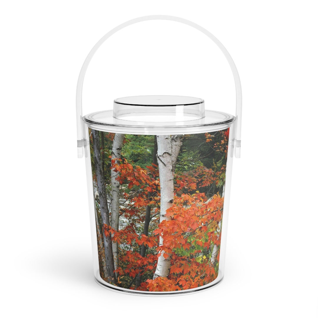 Colorful Fall Birch Trees Ice Bucket With Tongs - Etsy
