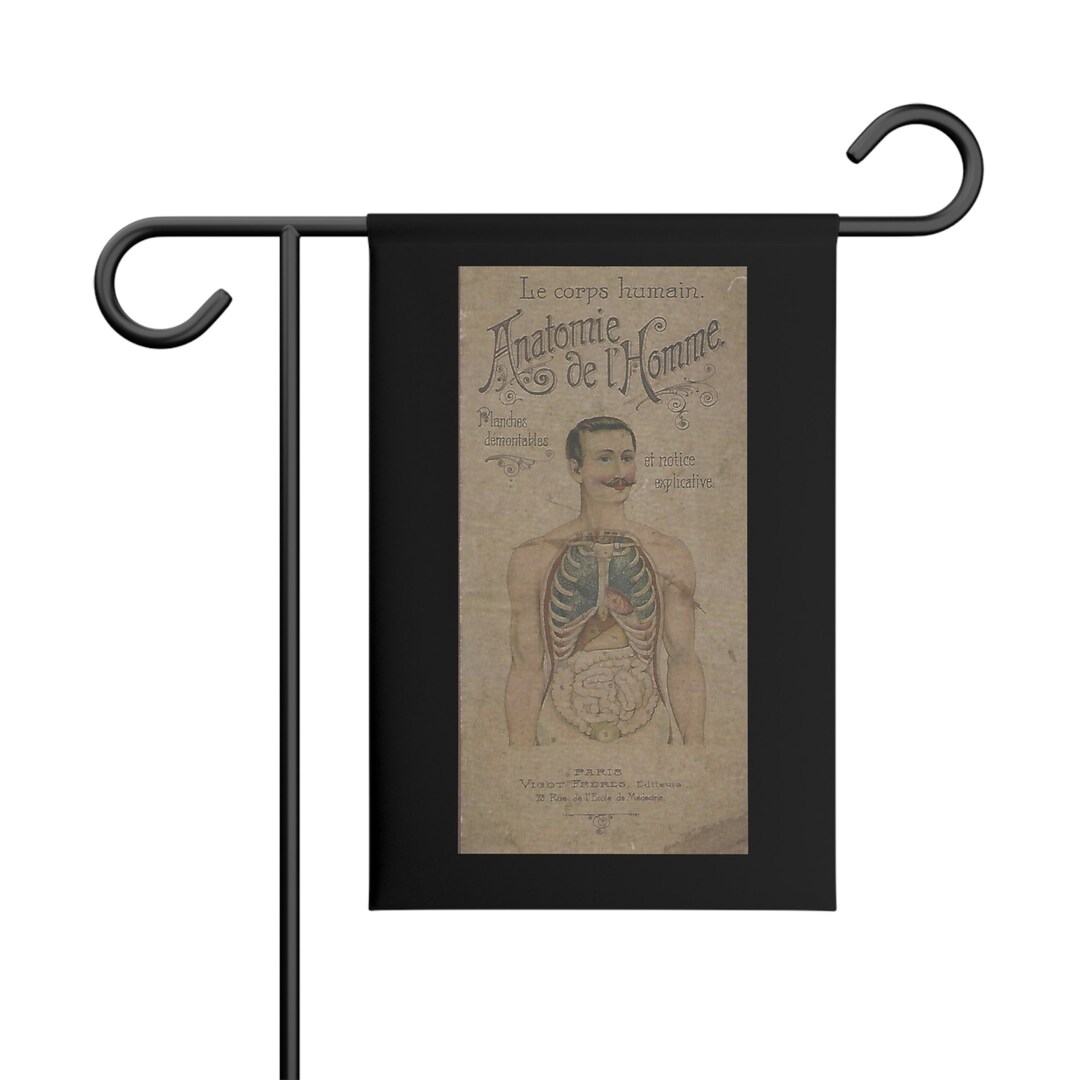 Vintage Human Anatomy Garden Banner - Etsy