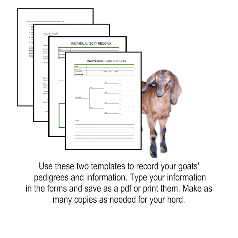Goat Pedigree/id Form, Fillable Form, Editable, Type in Fields ...