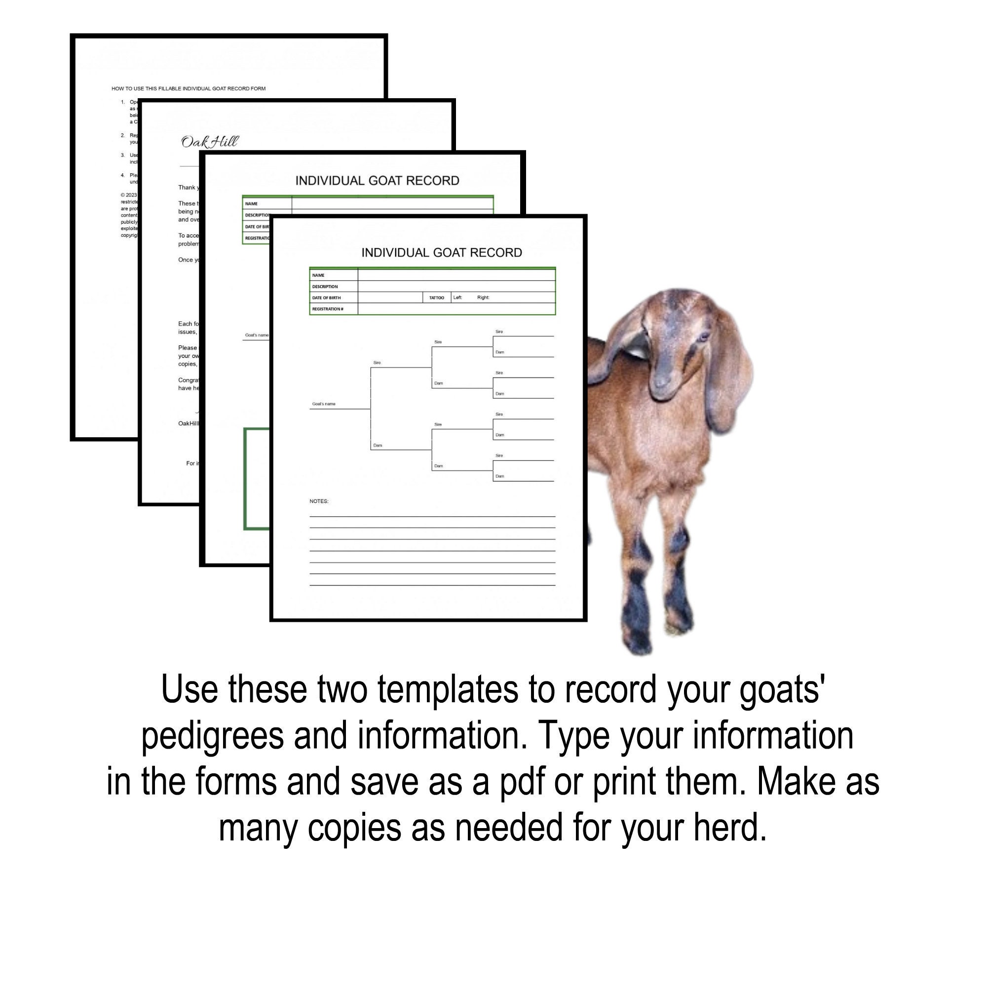 Goat Pedigree/id Form, Fillable Form, Editable, Type in Fields ...