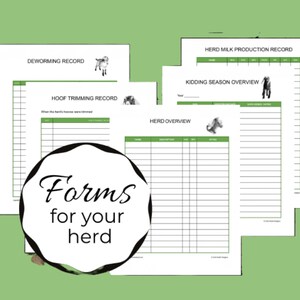 Printable Goat Record Sheets for New Goat Owners, for Goat Binder ...
