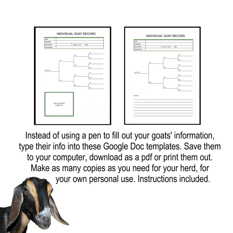 Goat Pedigree/id Form, Fillable Form, Editable, Type in Fields ...
