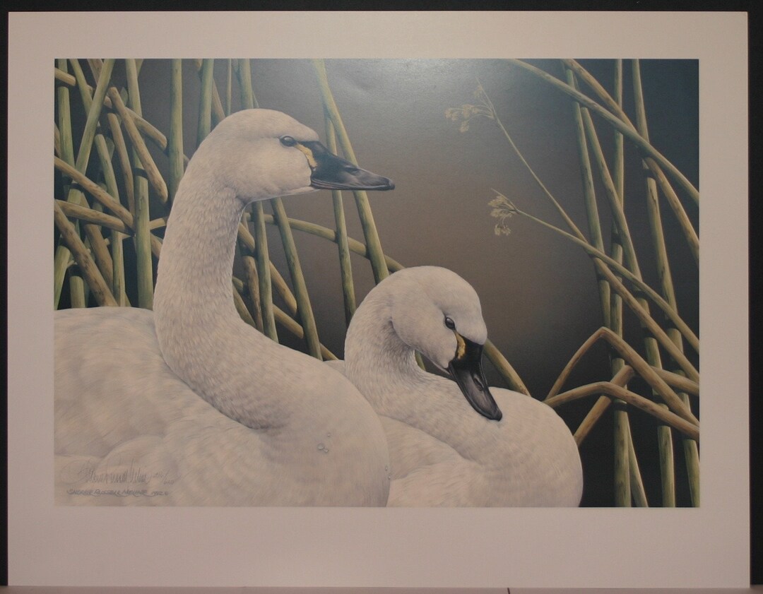 Resting Giants by Sherrie Russell Meline - Etsy