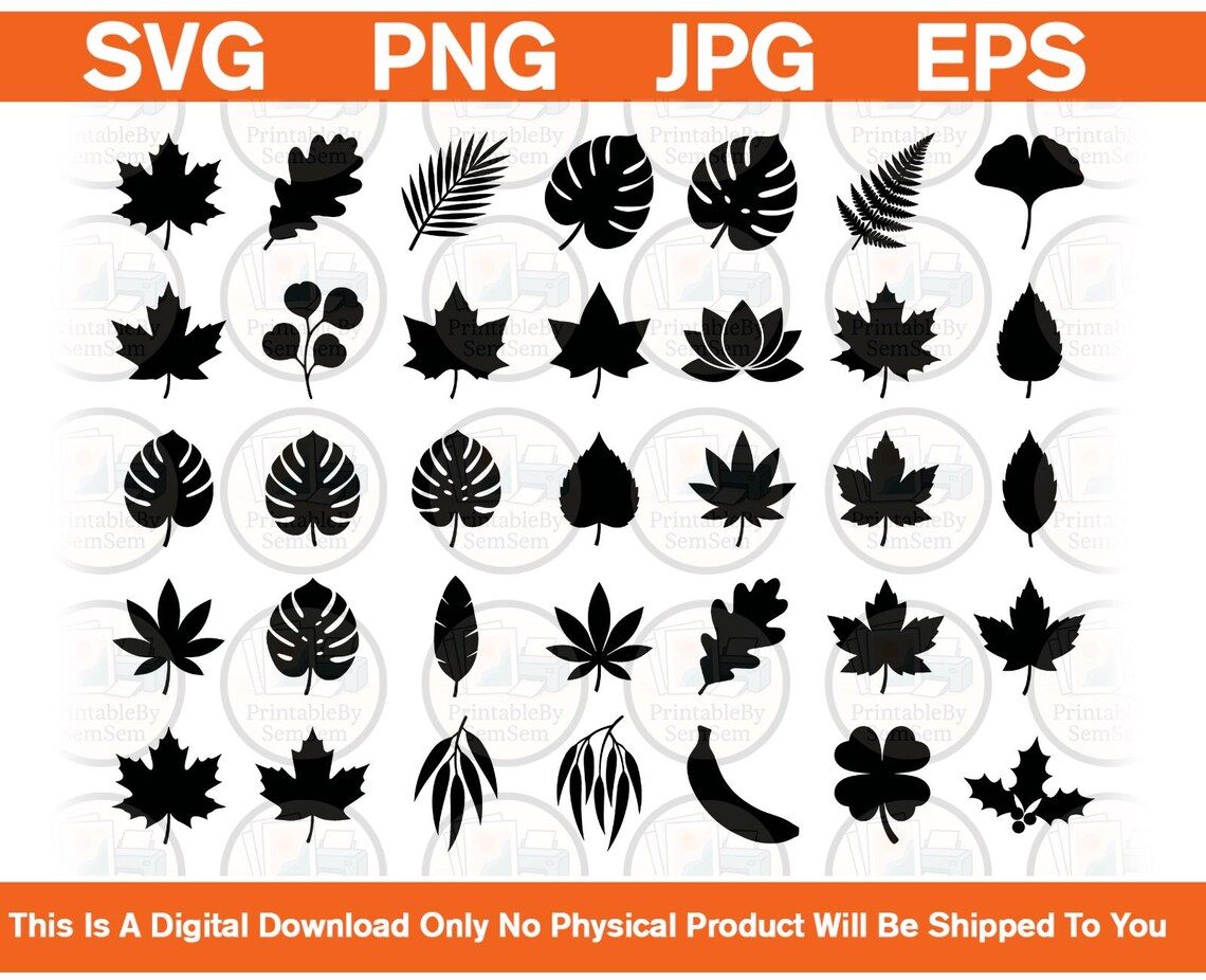 Leaves Silhouettes Bundle | Tropical Botanical Nature Cut Files (svg ...
