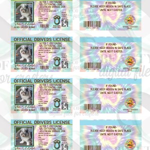 Easter Bunny Drivers License Printables 2 Full Sheet 8.5in X11in Pdfs ...