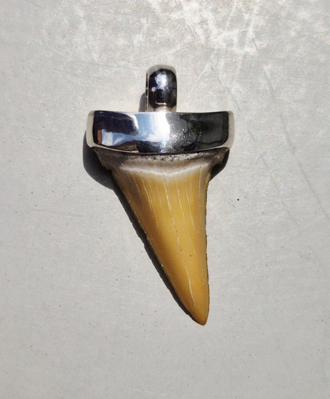 Fossil Shark Tooth Pendant Mako • Bone Valley Florida • 925 Silver ...