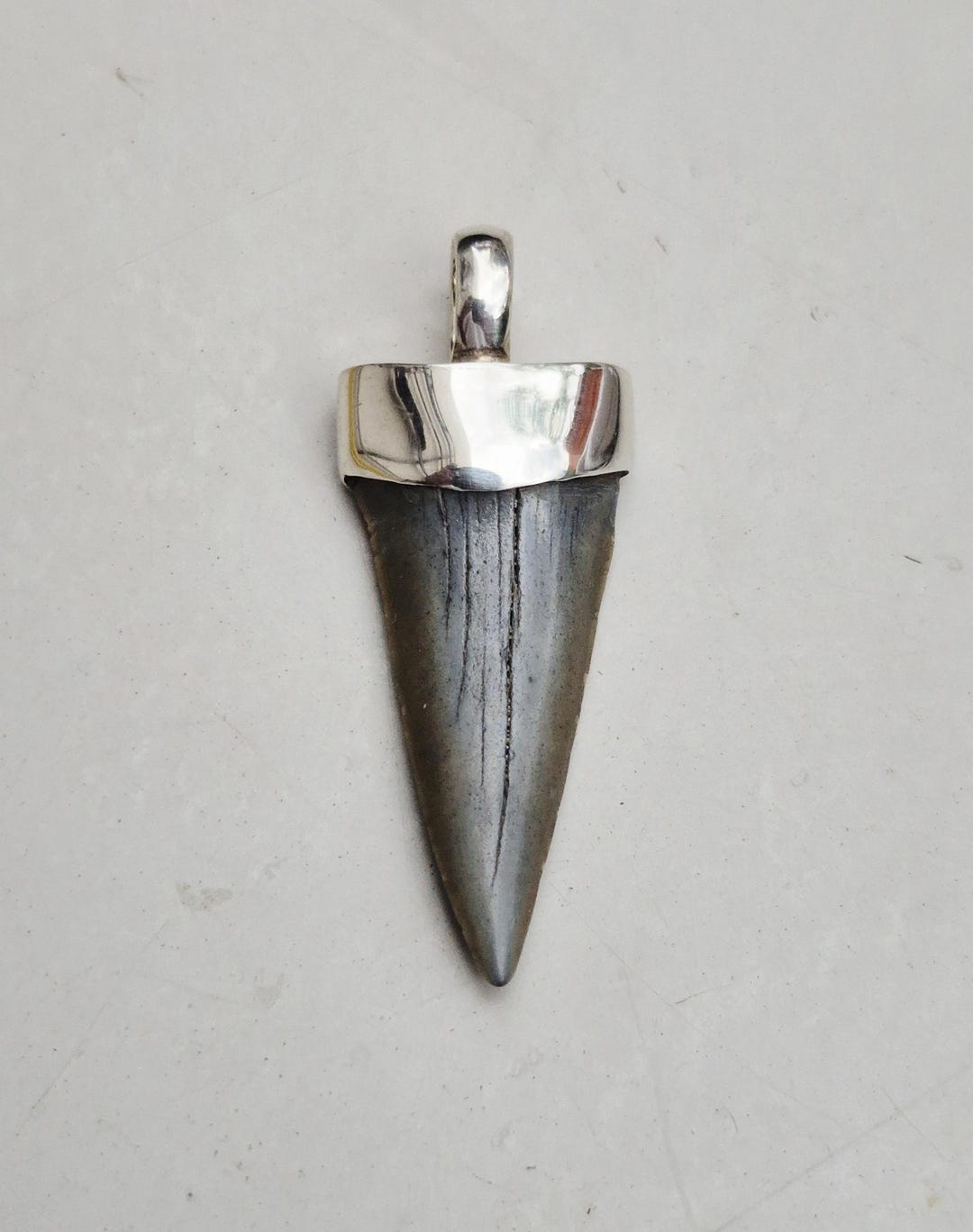 Fossilized Mako Shark Tooth Pendant – Narrow & Gray – South Carolina ...