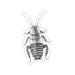 Madagascar Hissing Cockroach Kiss-cut Stickers - Etsy