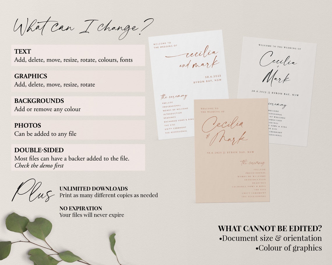 Modern Wedding Program Template Printable Wedding Program | Etsy