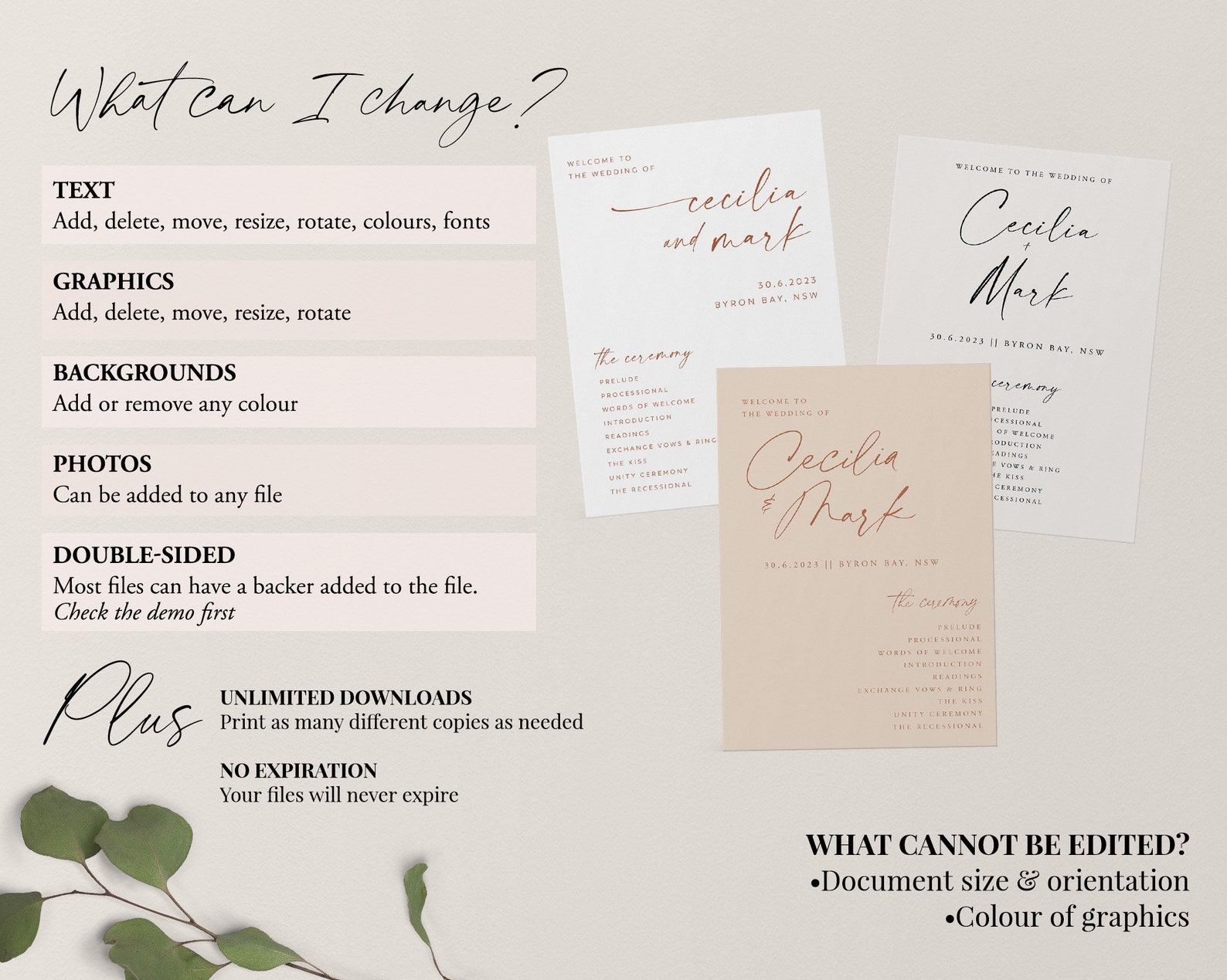 Modern Wedding Program Template Printable Wedding Program | Etsy