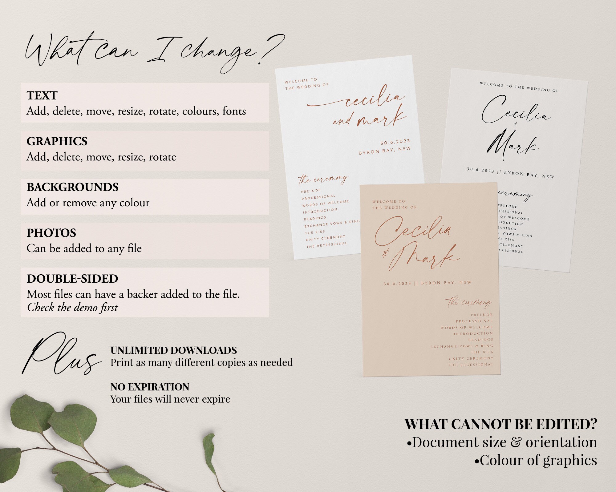 Minimalist Wedding Program Template Modern Wedding Program | Etsy