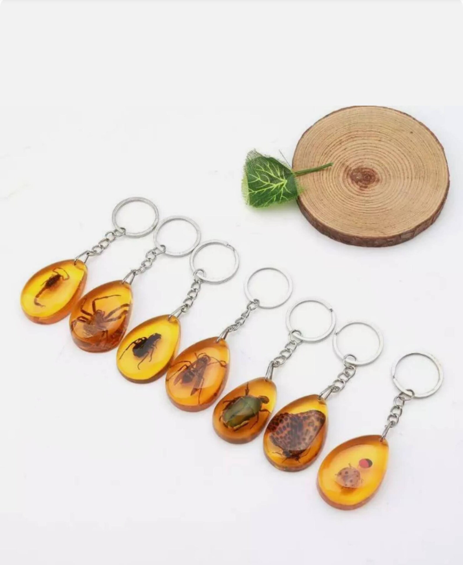 Amber Keychain Assorted Insects Beetle Labybug Ants - Etsy UK