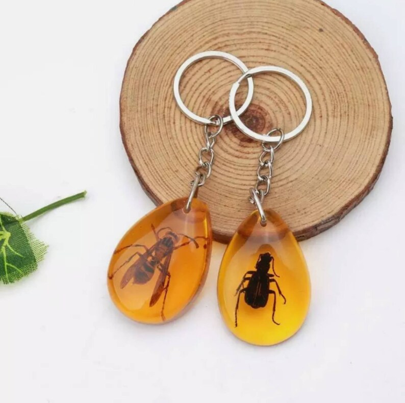 Amber Keychain Assorted Insects, Beetle, Labybug, Ants, Spider, Bees ...