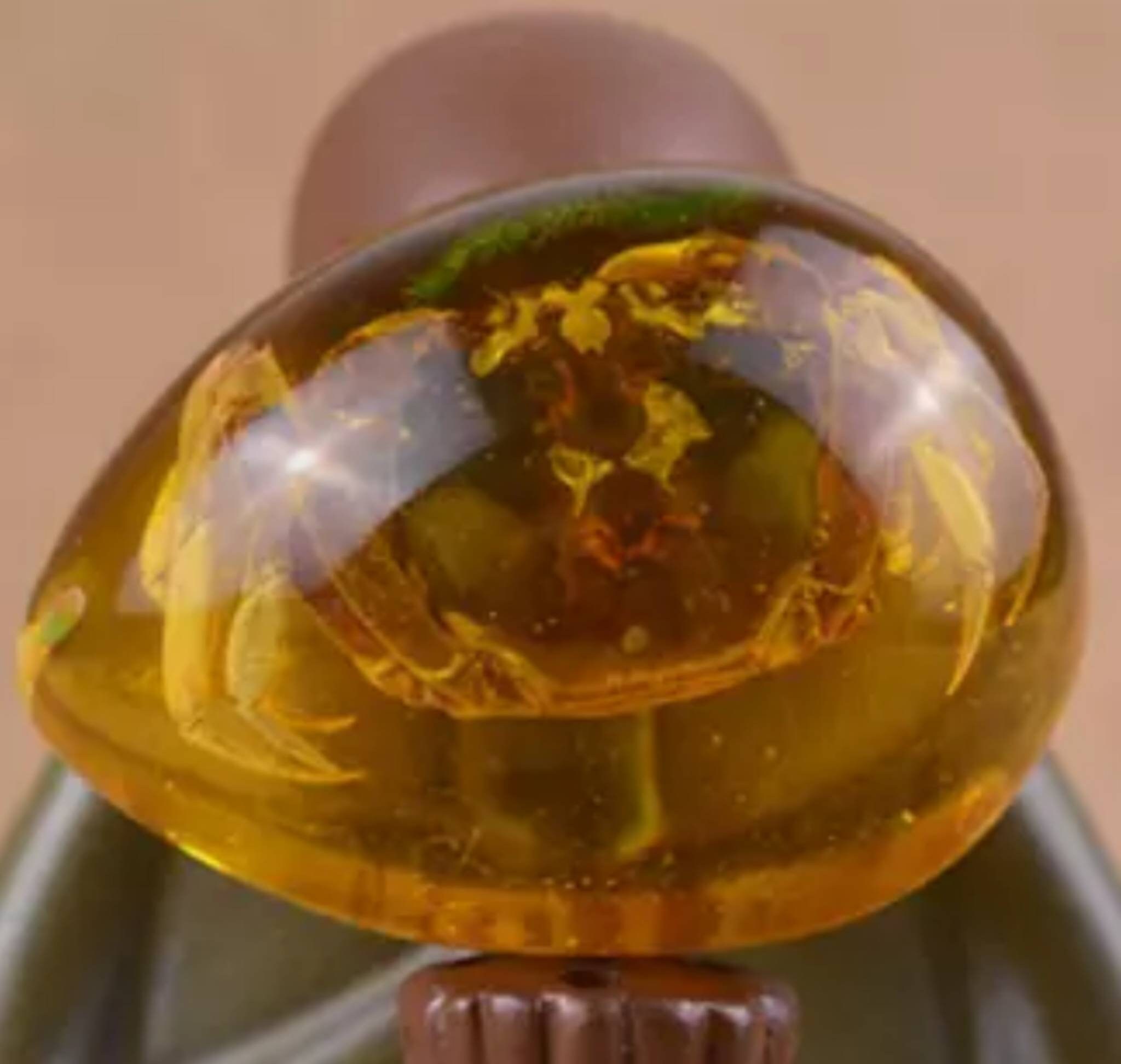 Amber Keychain Assorted Insects, Beetle, Labybug, Ants, Spider, Bees ...