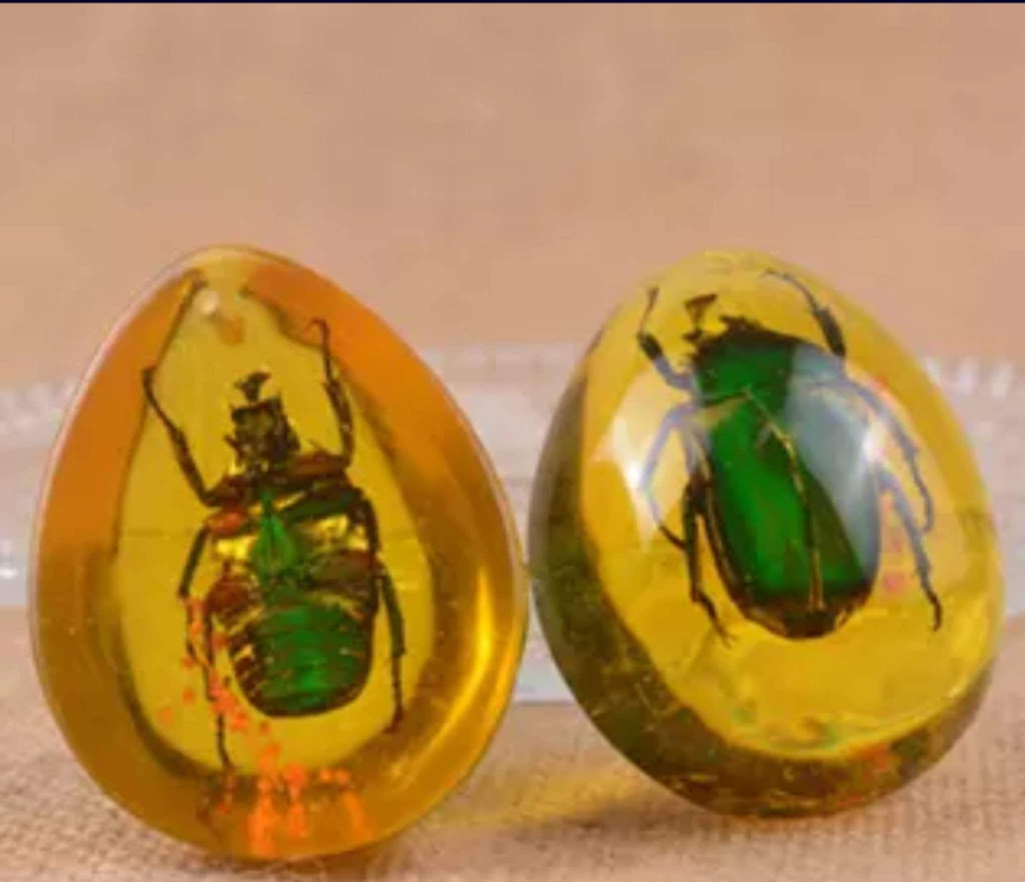 Amber Keychain Assorted Insects, Beetle, Labybug, Ants, Spider, Bees ...