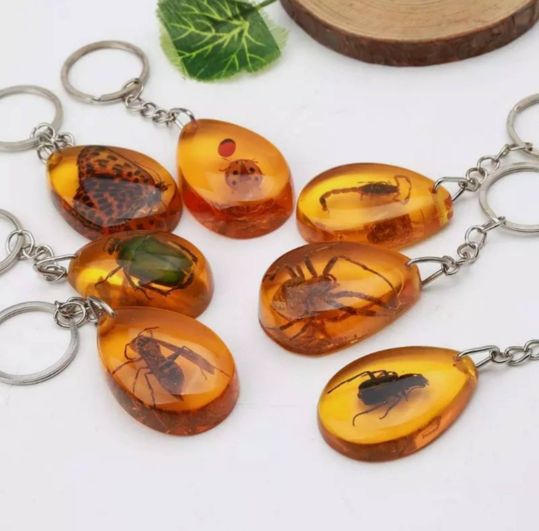 Amber Keychain Assorted Insects, Beetle, Labybug, Ants, Spider, Bees ...