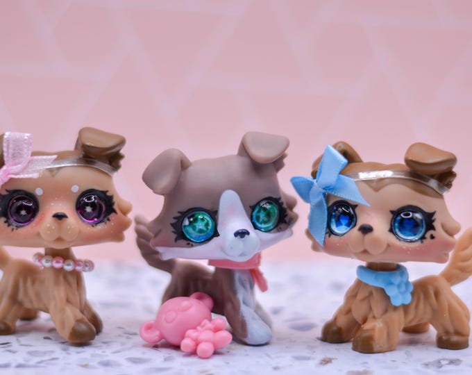 Custom LPS Collie Resin Eye Repaint Littlest Pet Shop - Etsy
