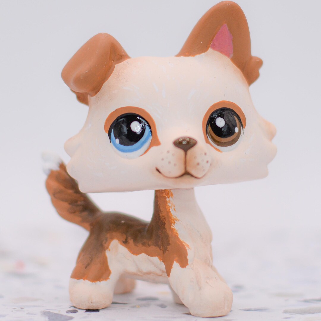 Littlest Pet Shop Custom Border Collie Hand Painted LPS - Etsy