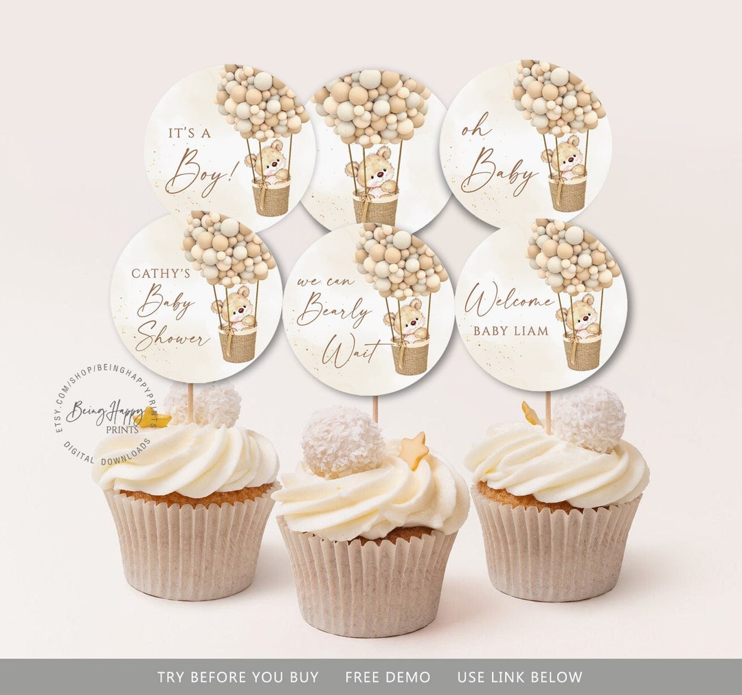 Teddy Bear Baby Shower Cupcake Toppers Hot Air Balloon Teddy Bear ...