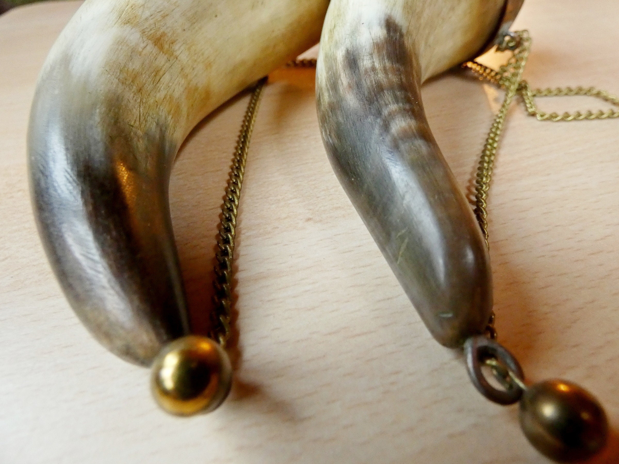 Set of Small Connected Caucasian drinking horns Wine horns | Etsy