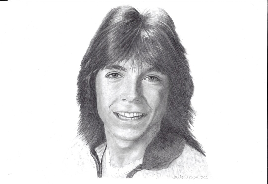 David Cassidy A4 Print of My Original Pencil Drawing. 70s Heart Throb ...