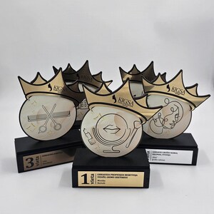 Beauty Professional Awards With Gold Crown, Cosmetology Awards and for ...