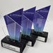 Customizable Award, Modern Acrylic Trophy With Irregular Shape, High ...