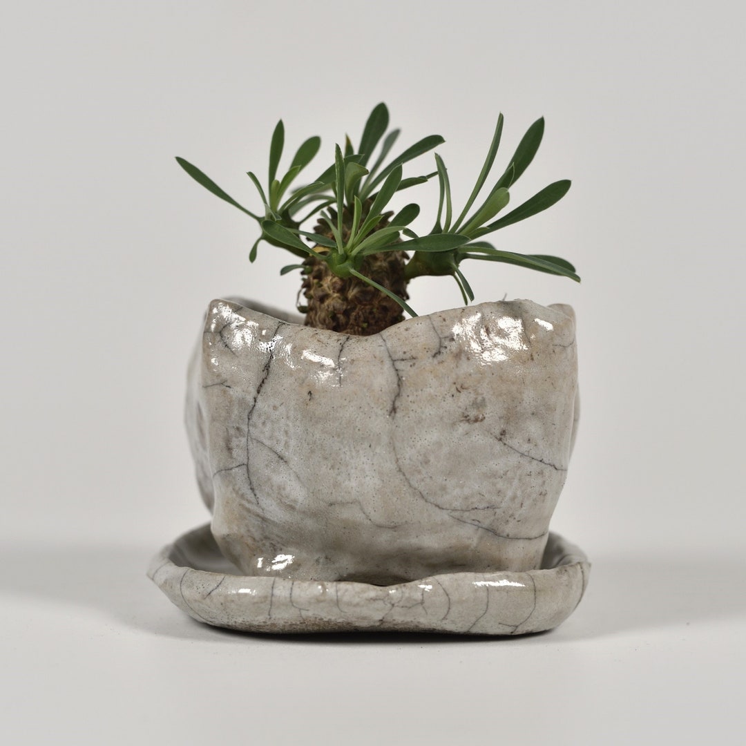 Small Ceramic Planter for Succulents, White and Light Gray With a ...