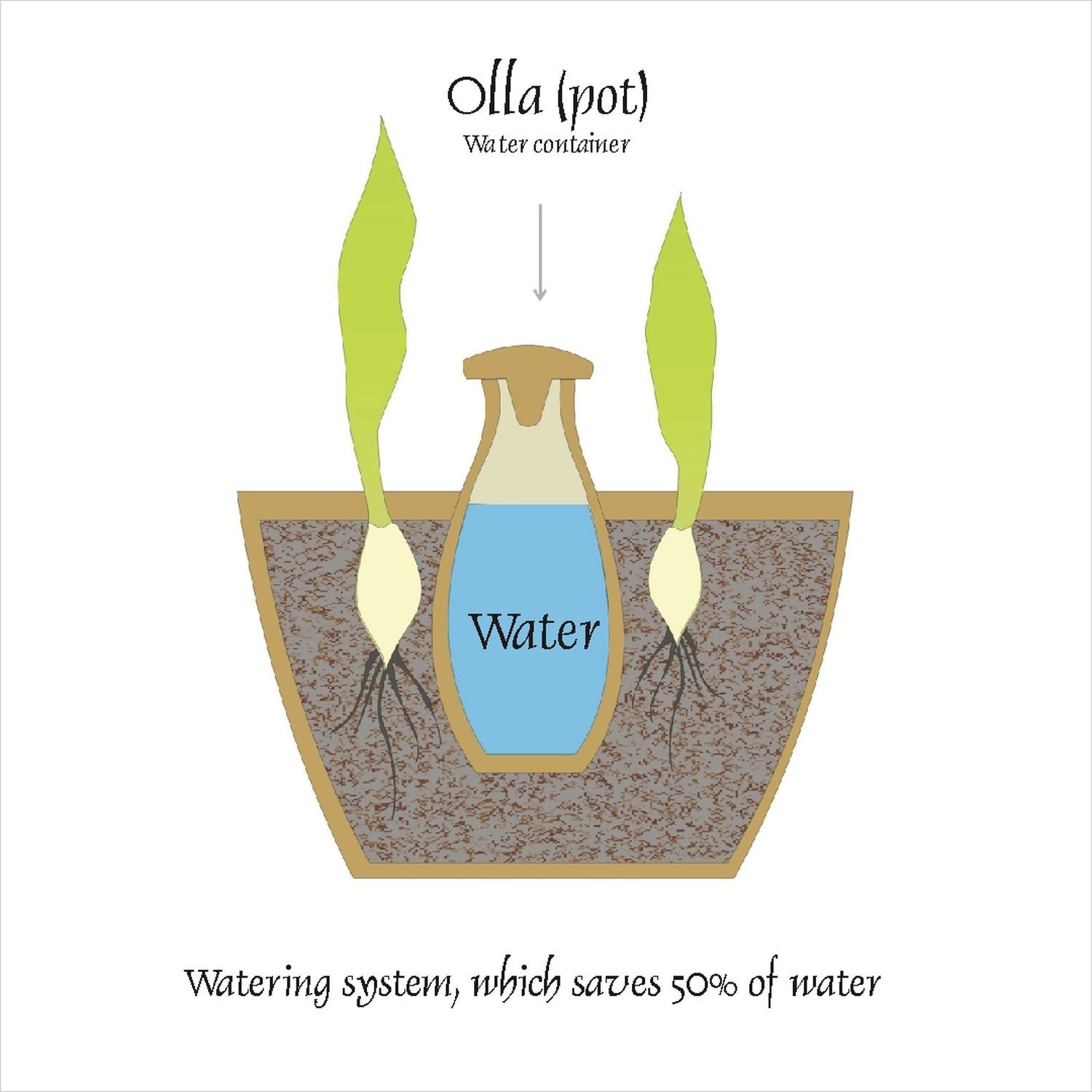 Olla Watering Pot for Garden and Indoor Plants. for - Etsy