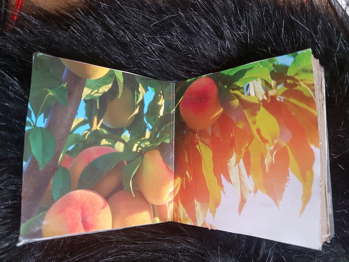 Reflective Notebook With Smiling Heart | Etsy