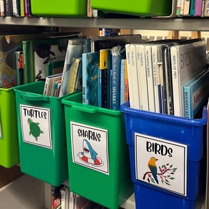 140 Book Bin Labels INSTANT DIGITAL DOWNLOAD for Classroom Library ...