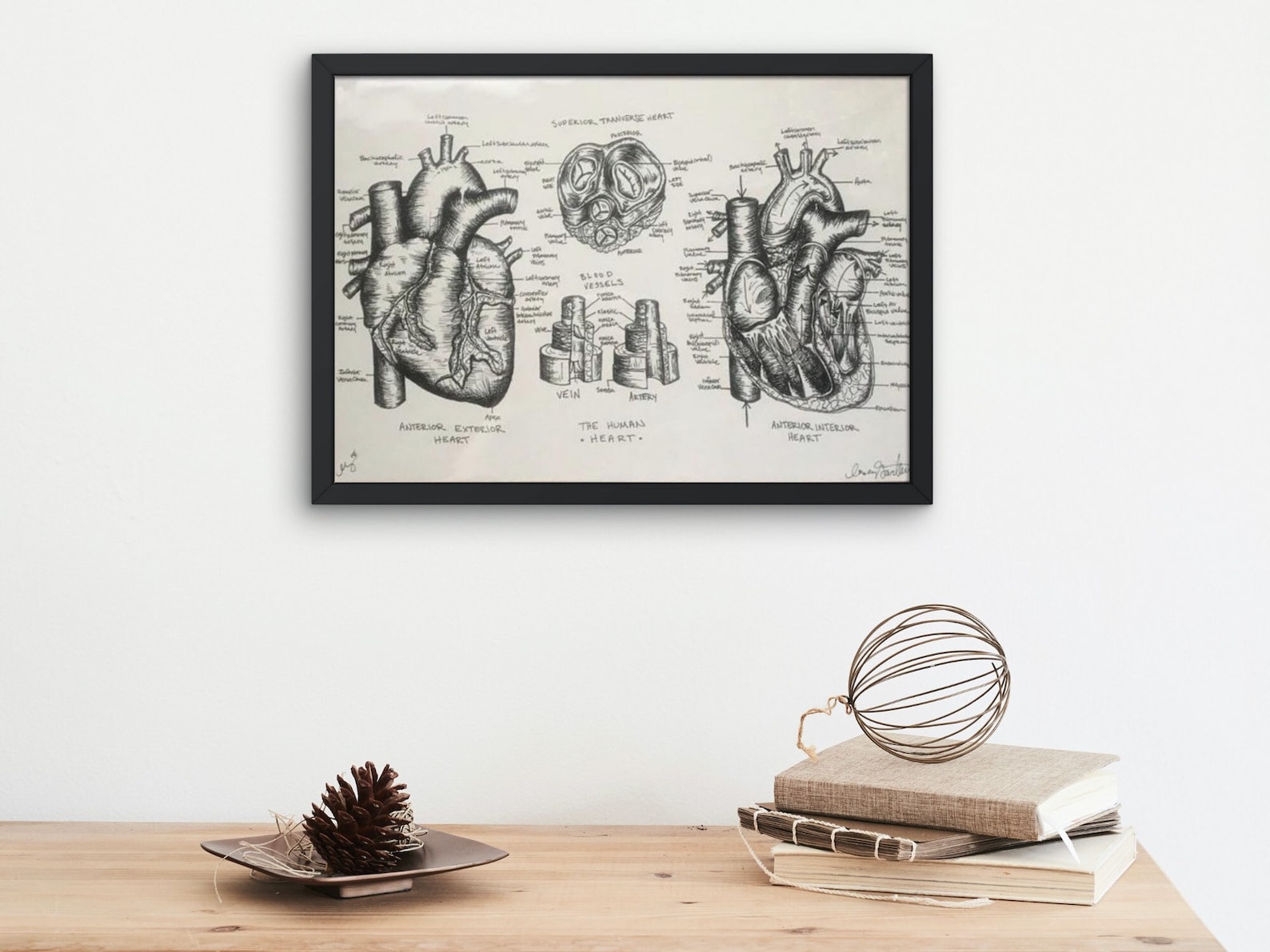 Anatomical Heart Poster | Cardiology Nurse Gift | for Cardiologist Gift ...
