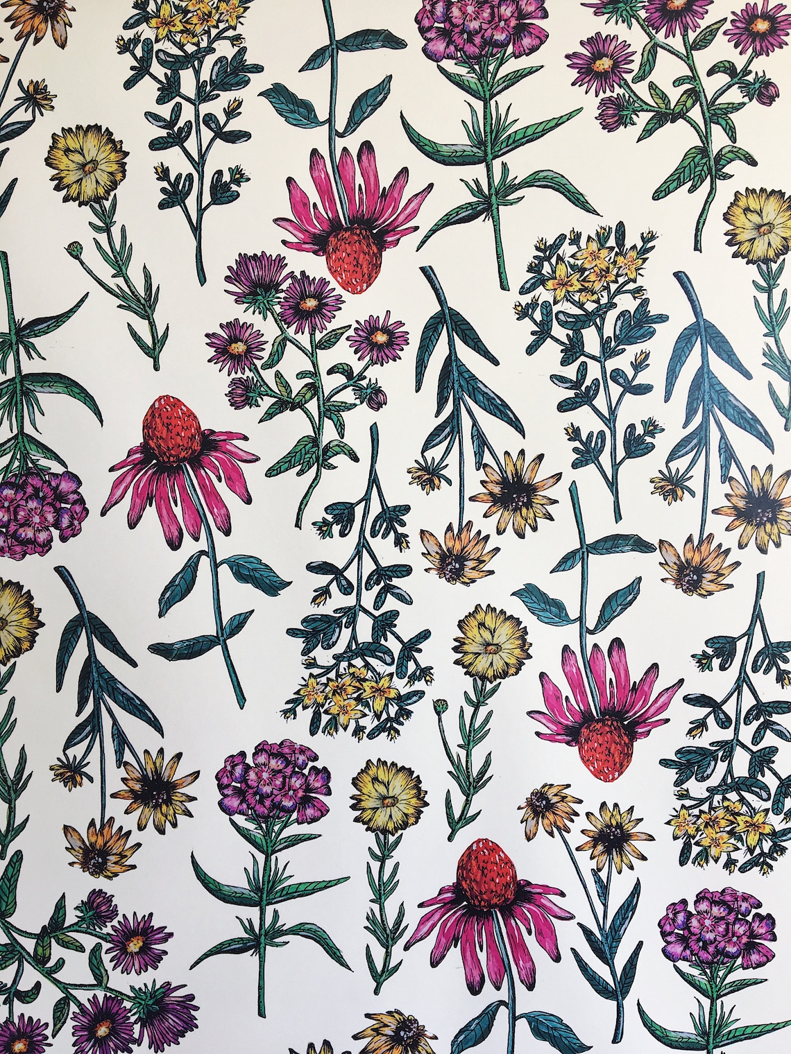 Wildflower Print: Midwest Prairie Plants Spring Blooms | Etsy